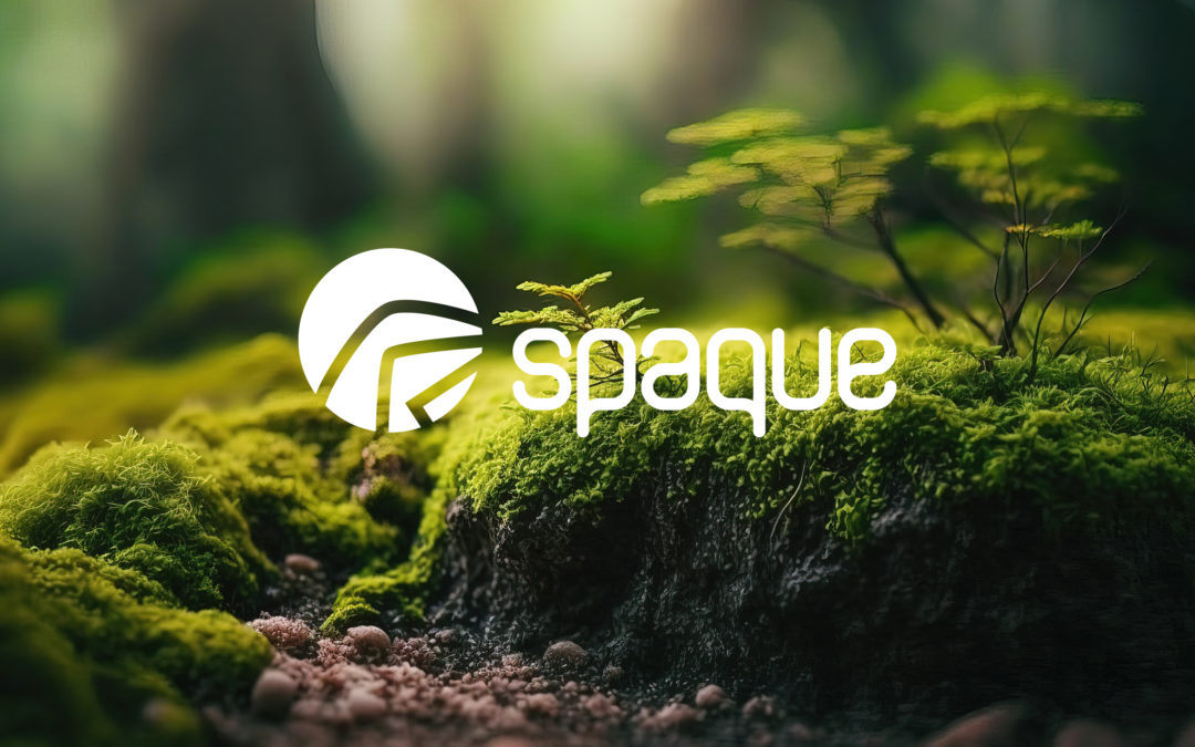 Archives des Identité - Periskop